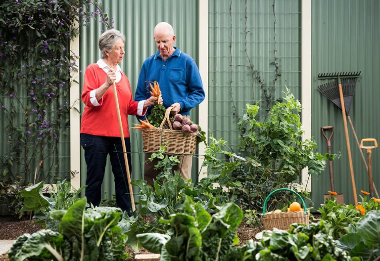 Help at Home - Home Care Services - ACH Group