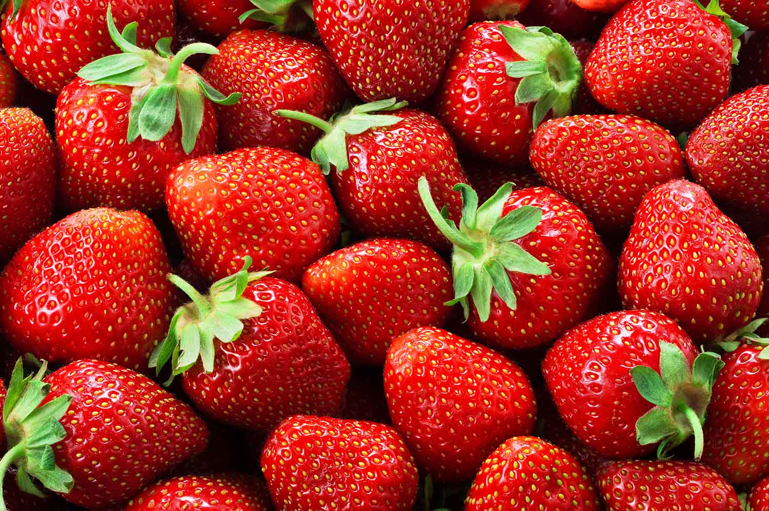 Beerenberg Farm Experience - ACH Group